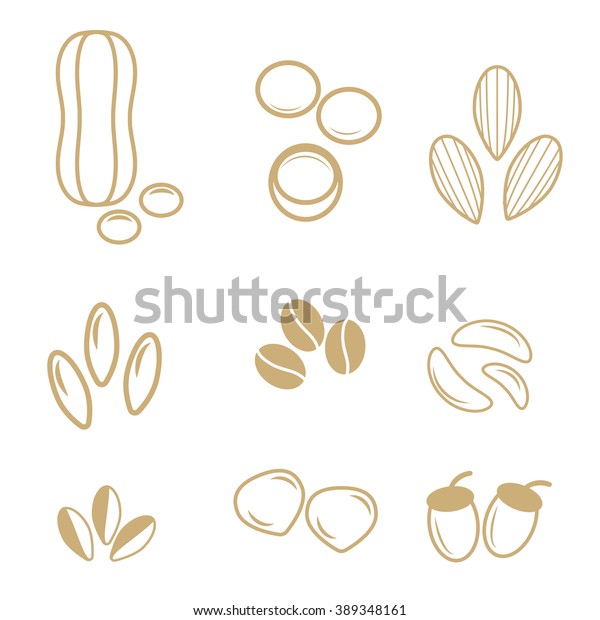 Nuts Seeds Icon Set Elegant Isolated Stock Vector (Royalty Free ...