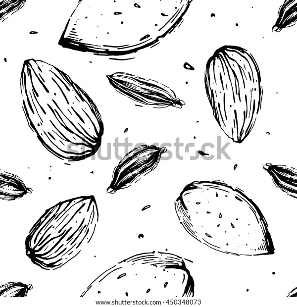 「Nuts Seeds Set Ink Drawing Vector」のベクター画像素材（ロイヤリティフリー） 450348073