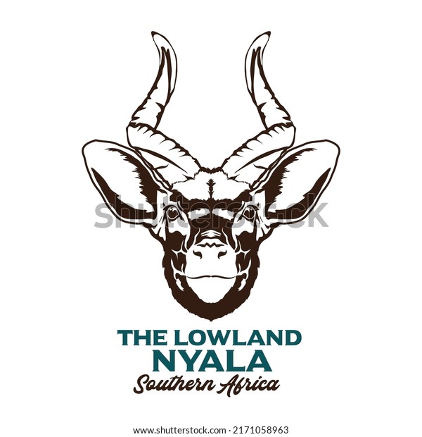 Nyala Face Vector Illustration Hand Drawn: vetor stock (livre de ...