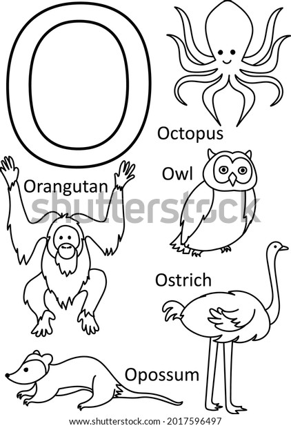 O Animals Names Alphabet Coloring Kids Stock Vector (Royalty Free ...