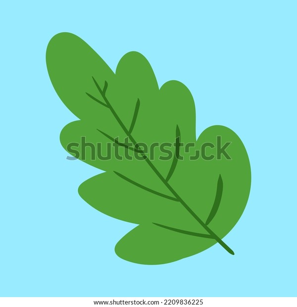 Oak Leaf Illustration Vector Cartoon Stock Vector (Royalty Free ...