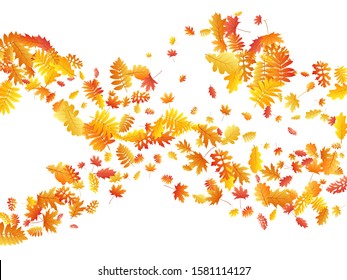 508 Snazzy Pattern Images, Stock Photos & Vectors | Shutterstock