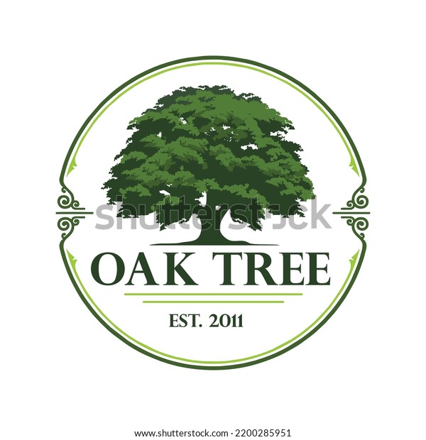 Oak Tree Illustration Image Logo Stock Vector (Royalty Free) 2200285951 ...