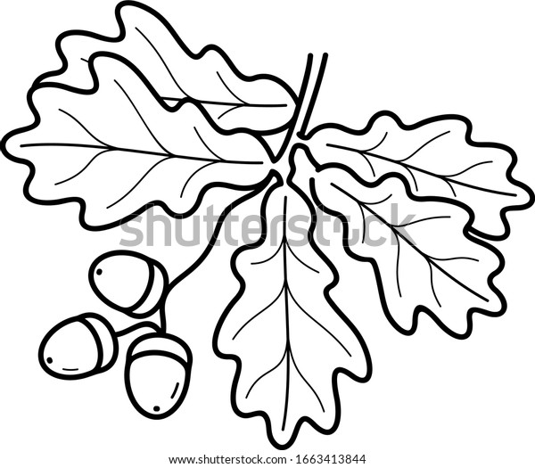Oak Tree Iowa State Symbol Vector Stock Vector (Royalty Free ...