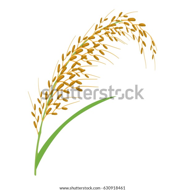 Oat Stalk Icon Cartoon Illustration Oat 库存矢量图（免版税）630918461 | Shutterstock