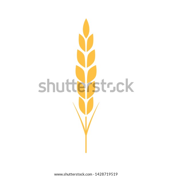 Oat Symbol Vector Sign Logo Design: Stock-Vektorgrafik (Lizenzfrei ...