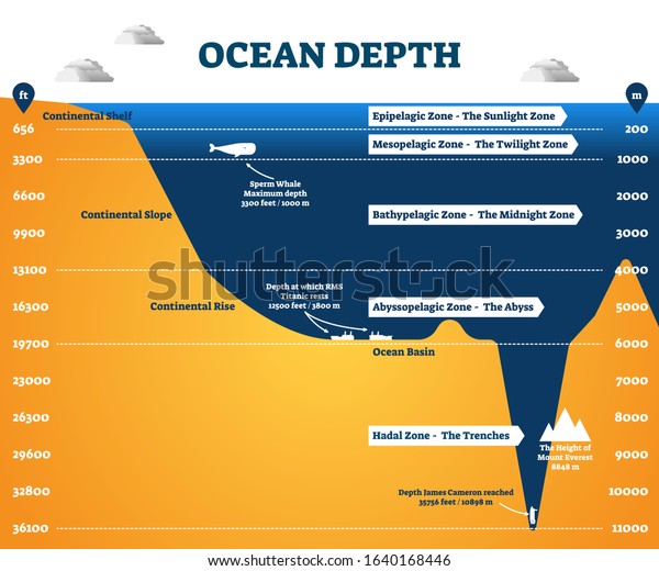 Infographie des zones de profondeur océanique, : image vectorielle de ...