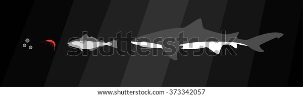 Ocean Food Chain Shark Fish Zooplankton Stock Vector (Royalty Free ...