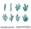 72,287 Kelp Royalty-Free Images, Stock Photos & Pictures | Shutterstock