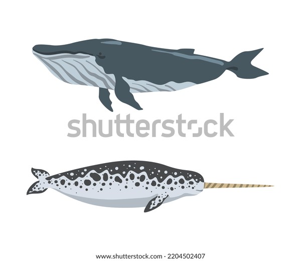 Oceanic Sea Animals Set Sword Fish Stock Vector (Royalty Free ...