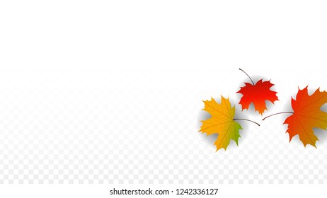 October Vector Background Golden Falling Leaves Stock Vector (Royalty ...