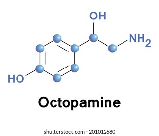 Octopamine Molecule Vector Illustration Stock Vector (Royalty Free ...