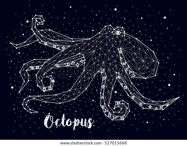Octopus Constellation Stock Vector (Royalty Free) 527015668 | Shutterstock