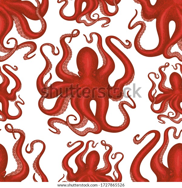 Octopus Seamless Pattern Hand Drawn Vector Stock Vector (Royalty Free ...