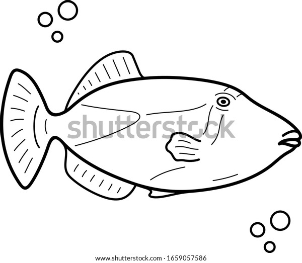Official State Fish Hawaii Vector Outline: เวกเตอร์สต็อก (ปลอดค่า ...