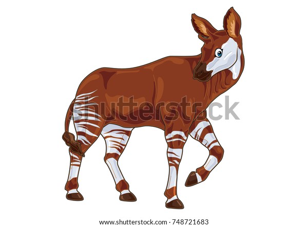 Okapi Cartoon Illustration Realistic Skin Tone Stock-vektor (royaltyfri ...