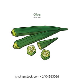 Okra Hand Draw Sketch Vector Vegetable Stock Vector (Royalty Free ...