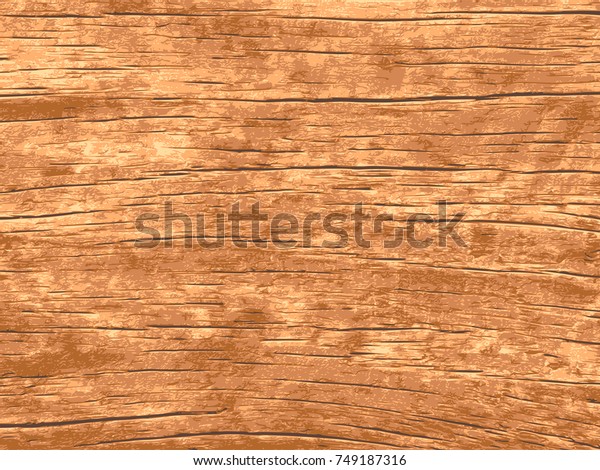 Old Barn Wood Plank Texture Closeup Stock Vector (Royalty Free ...