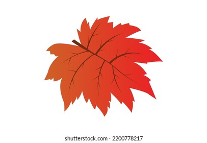 Old Maple Leaves Red Leaves Represent Stock Vector (Royalty Free ...