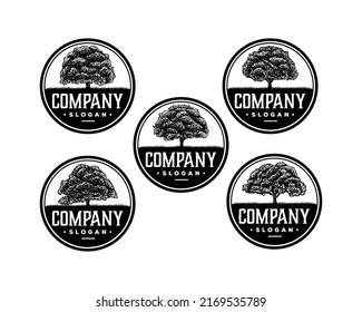 1,528 Rubber tree logo Images, Stock Photos & Vectors | Shutterstock