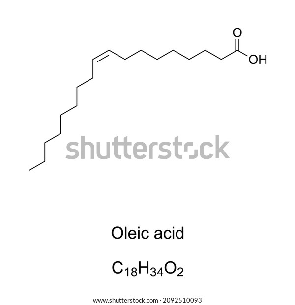 Oleic Acid Chemical Formula Structure Monounsaturated Stock Vector ...
