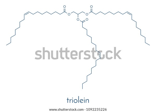 Olive Oil Triglyceride Glyceryl Trioleate Triolein Stock Vector ... Olive Oil Triglyceride Glyceryl Trioleate Triolein Stock Vector ...