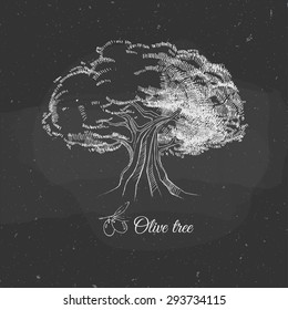 Olive Tree Handdrawn On Chalkboard Stock Vector (Royalty Free ...