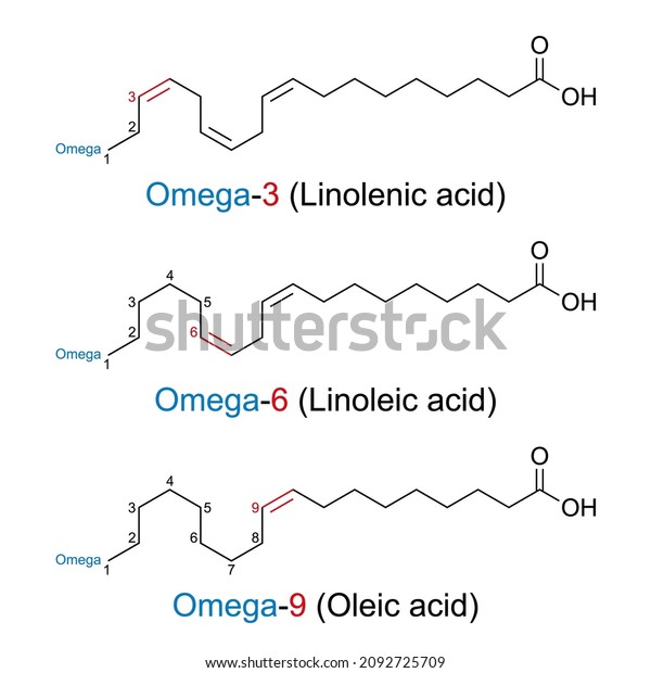 2.971 imagens de Oleic acid Imagens, fotos stock e vetores | Shutterstock