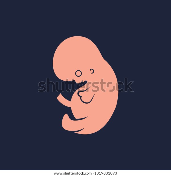 One Color Illustration Fetal Development 3 Stock Vector (Royalty Free ...