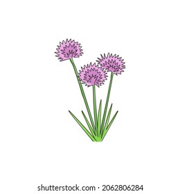973 Allium drawing Images, Stock Photos & Vectors | Shutterstock