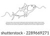 Fish Drawing Photos, Images & Pictures | Shutterstock