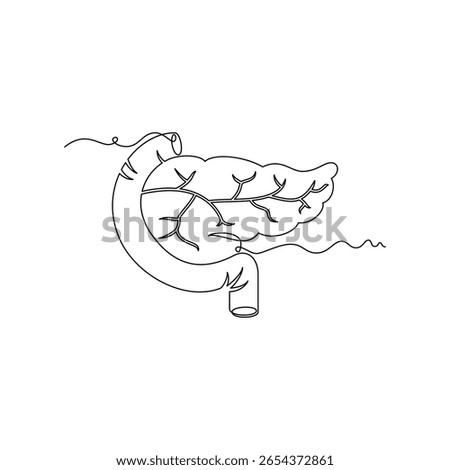 Pancreas Drawing | Free download on ClipArtMag