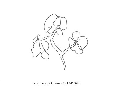 Orchid-line-drawing Images, Stock Photos & Vectors | Shutterstock