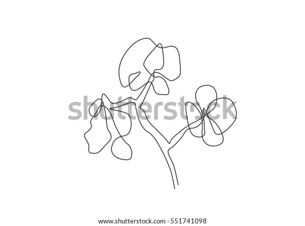 One Line Drawing Orchid 库存矢量图（免版税）551741098 | Shutterstock