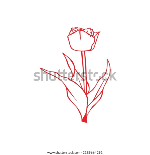 One Line Drawing Red Rose Vector 库存矢量图（免版税）2189664291 | Shutterstock