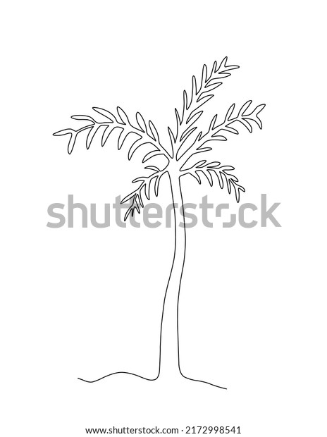 One Line Palm Tree Illustration Drawing: เวกเตอร์สต็อก (ปลอดค่า ...