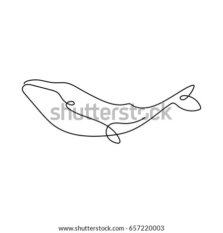 One Line Whale Design Silhouettehand Drawn Stock-Vektorgrafik ...