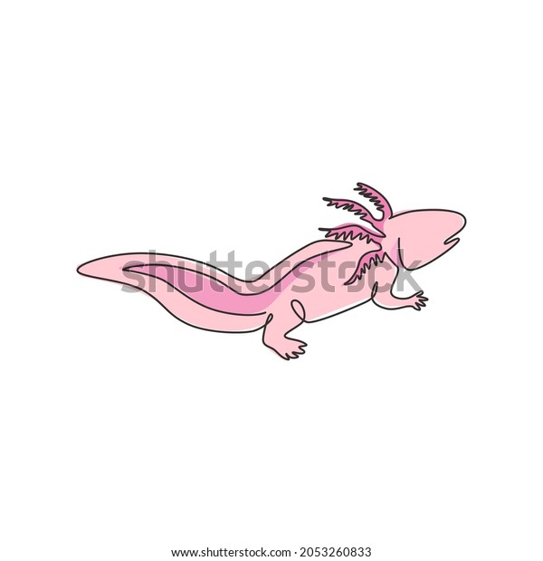 One Single Line Drawing Adorable Axolotl Stock Vector (Royalty Free ...
