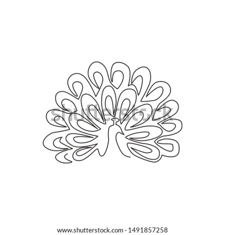 Peacock Line Drawing | Free download on ClipArtMag