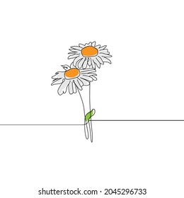 One Single Line Drawing Beauty Daisy Stock Vector (Royalty Free ...