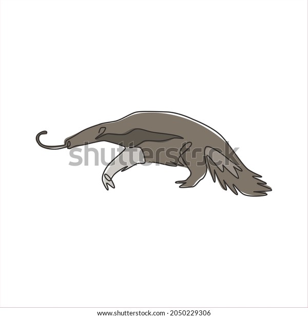 One Single Line Drawing Big Anteater Stock Vector (Royalty Free ...