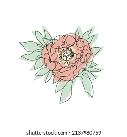 One Single Line Drawing Peony Flower Stock Vector (Royalty Free ...