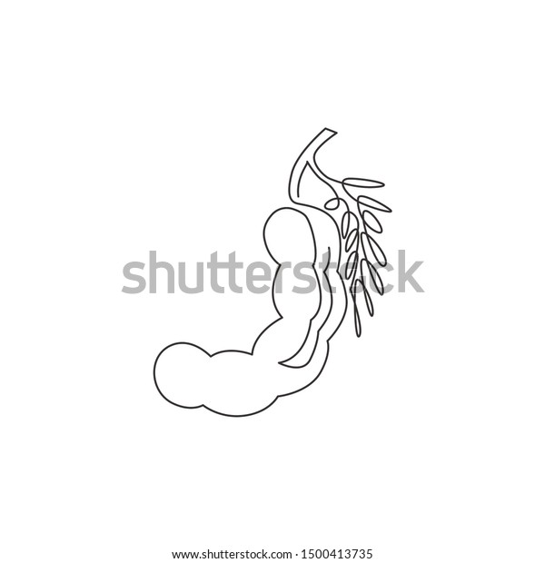One Single Line Drawing Whole Healthy Stock Vector (Royalty Free ...