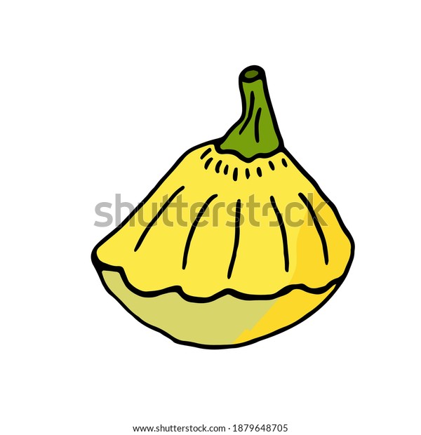 One Yellow Squash Doodle Style Isolated Stock Vector (Royalty Free ...