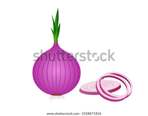 Onion Full and Slices - Cartoon Vector Image