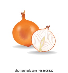 Aesthetic Cool Onion Vector Illustration Aesthetic Stock Vector ...