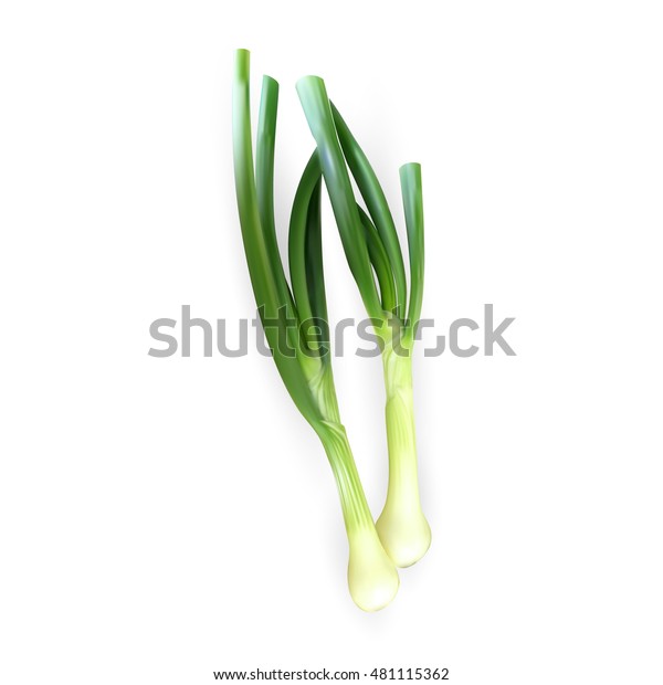 10,502 Spring Onion Illustration Images, Stock Photos & Vectors ...
