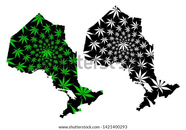 Ontario Provinces Territories Canada Map Designed: เวกเตอร์สต็อก (ปลอด ... Ontario Provinces Territories Canada Map Designed: เวกเตอร์สต็อก (ปลอด ...