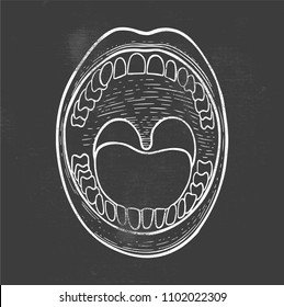 Vektor Stok Open Mouth Teeth Top Bottom Teeth (Tanpa Royalti ...