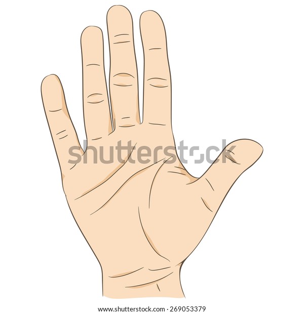 Open Palm Hand Gesture Realistic Stock Vector (Royalty Free) 269053379